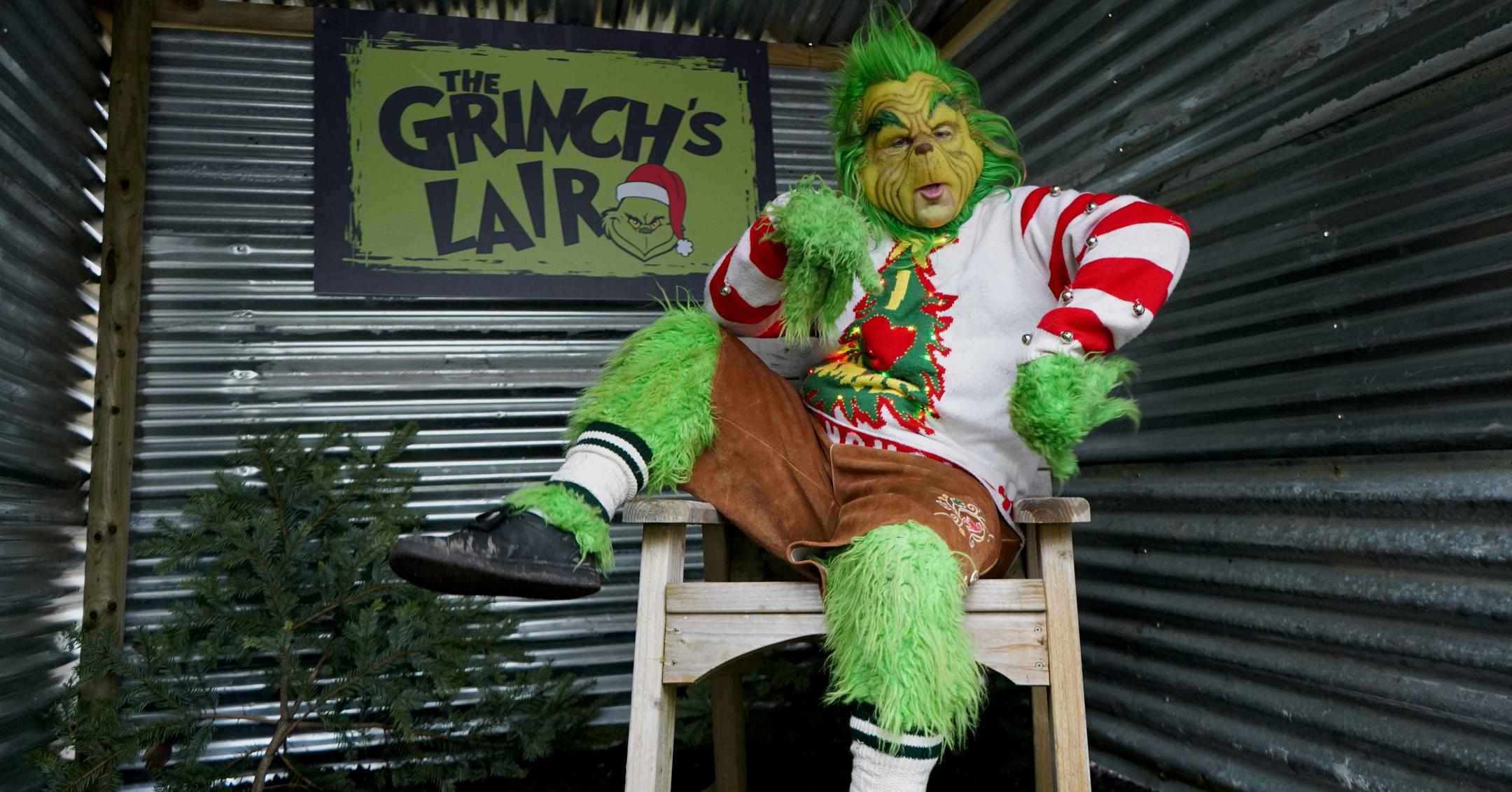 How To Make the Grinch Spaghetti Dish From TikTok