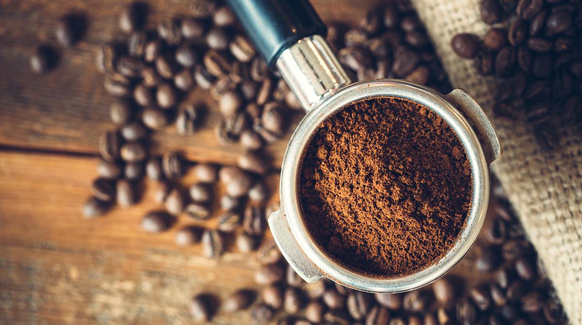 Common Coffee Species Are at Risk of Extinction
