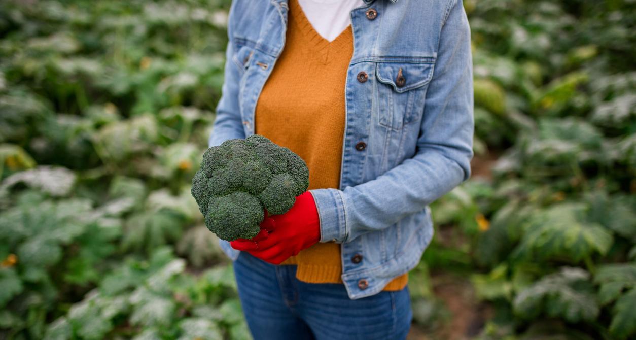 Is Broccoli a Natural or Man-Made Vegetable?
