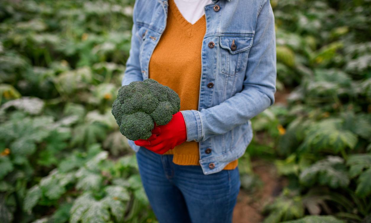 Is Broccoli a Natural or Man-Made Vegetable?