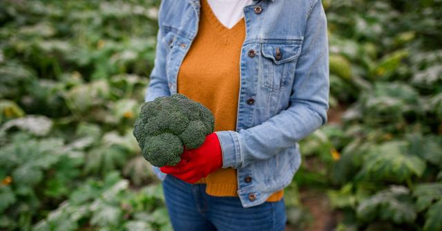 Is Broccoli a Natural or Man-Made Vegetable?