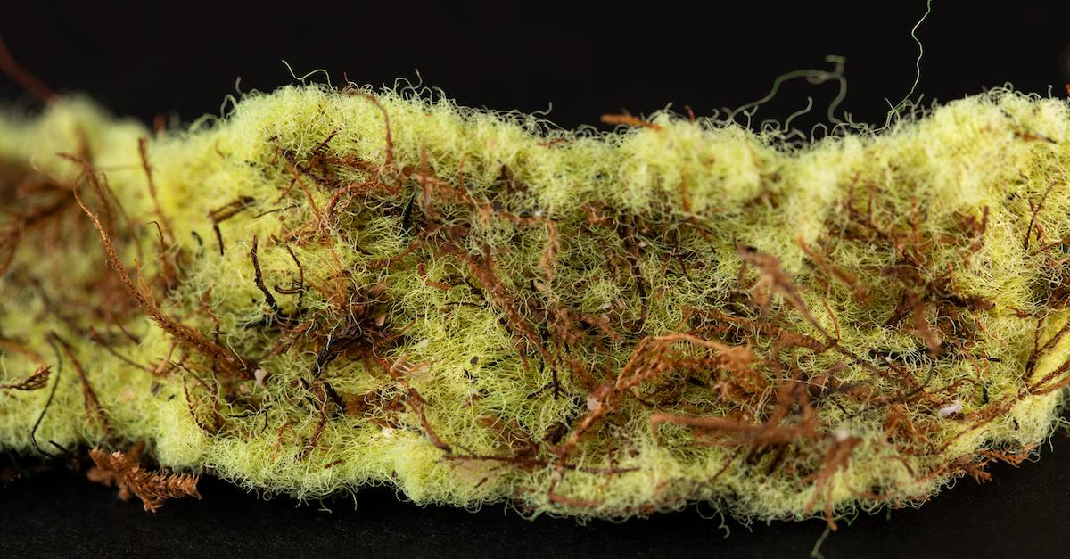 What Is Downcycling?