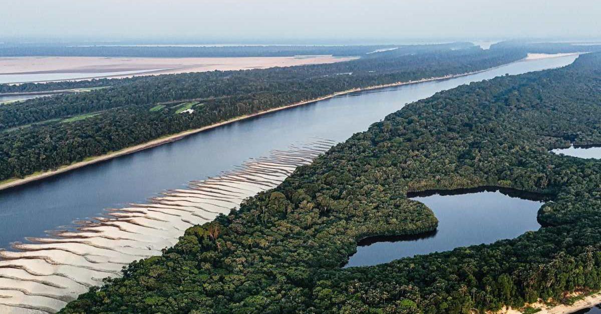 Here’s Why You’ll Never Find a Bridge Across the Amazon River