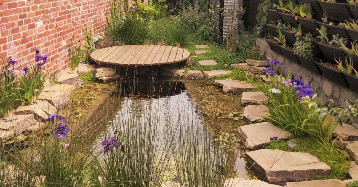 Backyard Pond Ideas: Create a Sustainable Tranquil Space