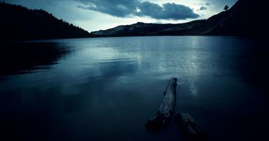 Lizzy Rosenberg - Green Matters