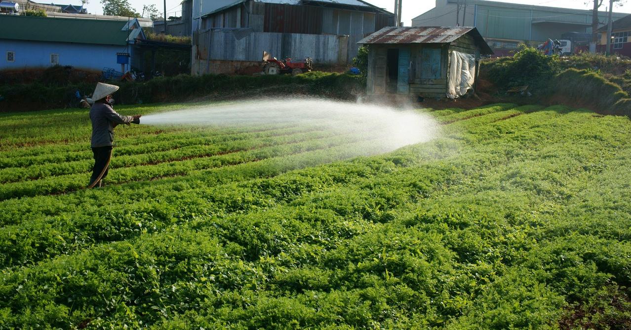 What Human Activity Uses the Most Water Worldwide?