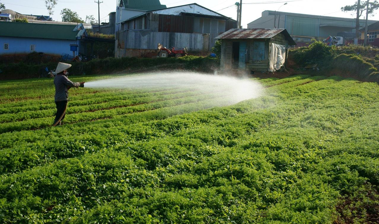 What Human Activity Uses the Most Water Worldwide?