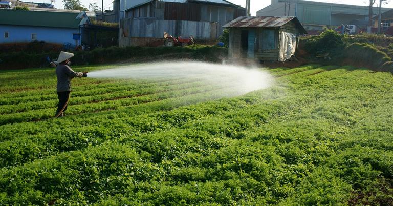 What Human Activity Uses the Most Water Worldwide?