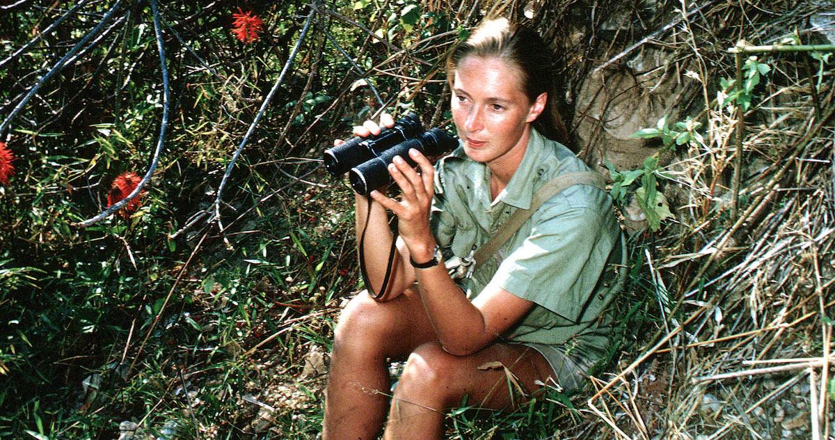Fun Facts About Jane Goodall