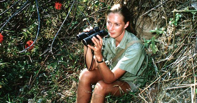 Fun Facts About Jane Goodall