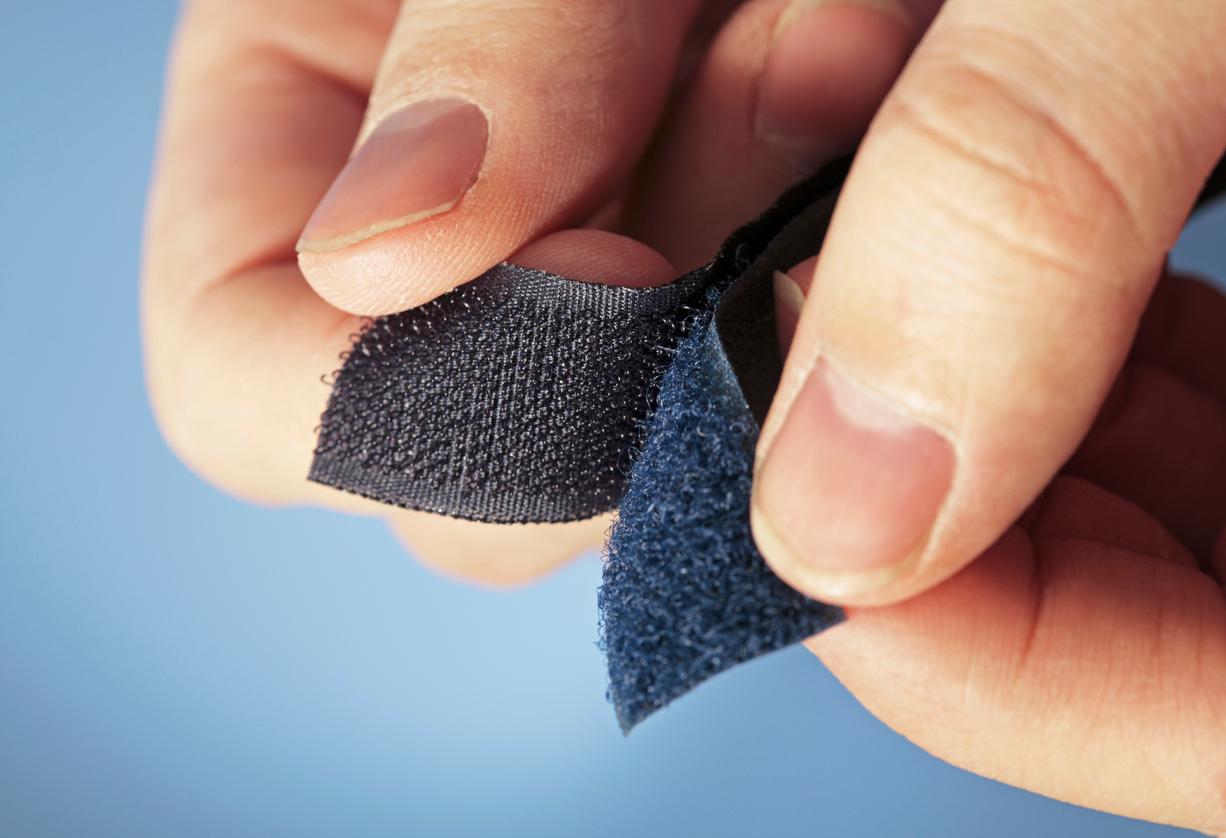 Biomimicry Has Influenced Everyday Life Around the World