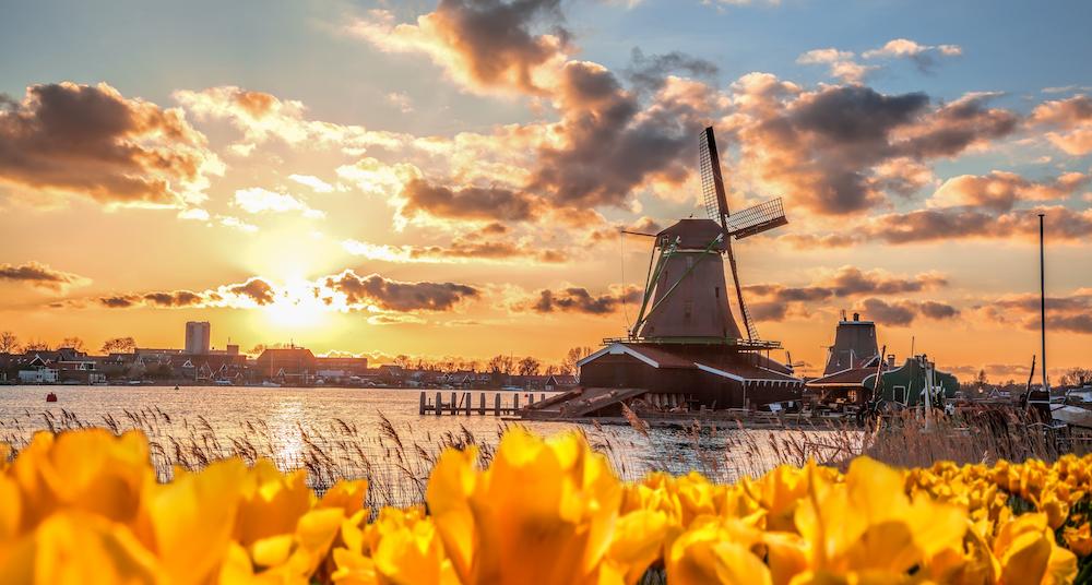 Windmills vs. Wind Turbines: What's the Difference?