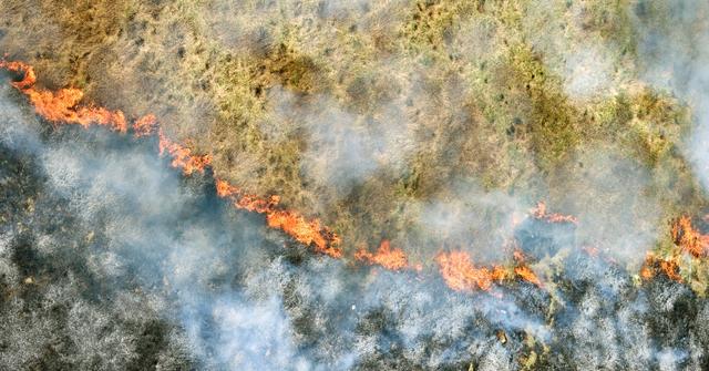 How Do Wildfires Start Naturally? Here's What You Should Know