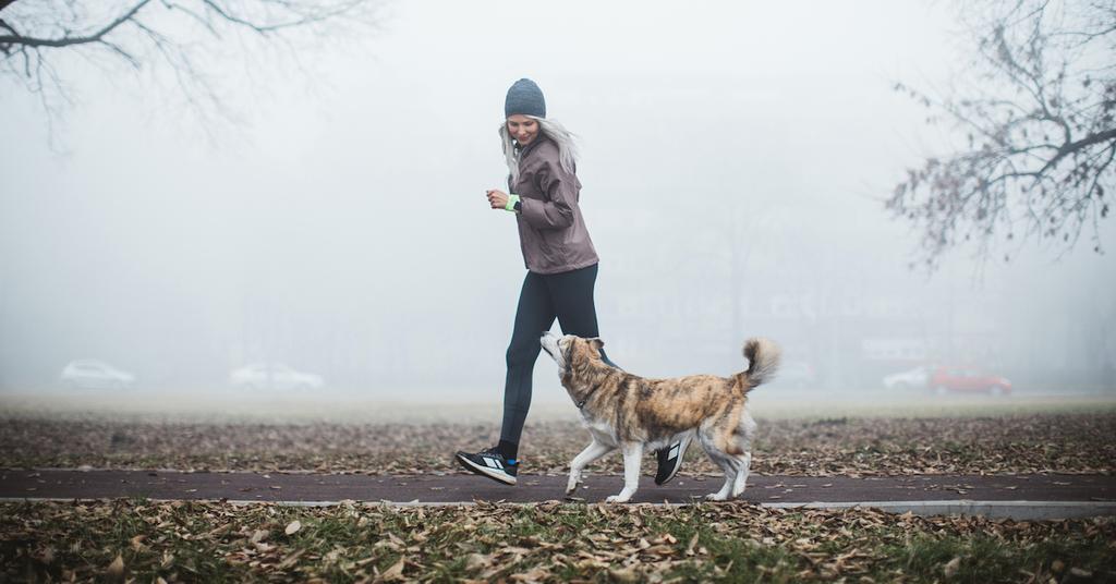 Do Dogs Like Running With Their Humans? Here's What Experts Say