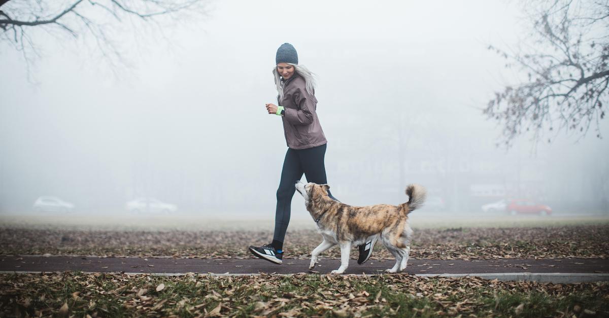 Do Dogs Like Running With Their Humans? Here's What Experts Say