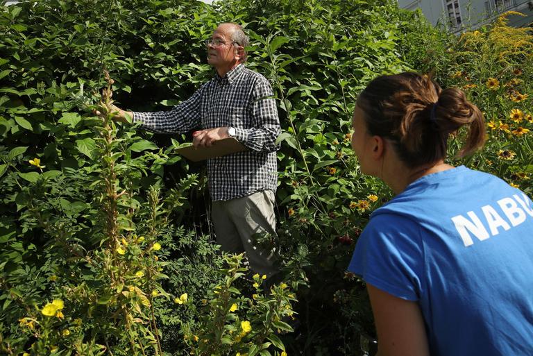 Why Is Animal Conservation Important? It's a Seriously Important Matter