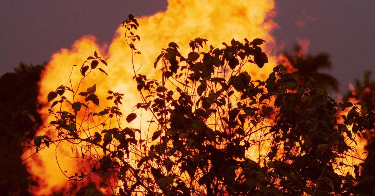 Shell Nigeria Being Sued to Clean up Environmental Damage in Nigeria