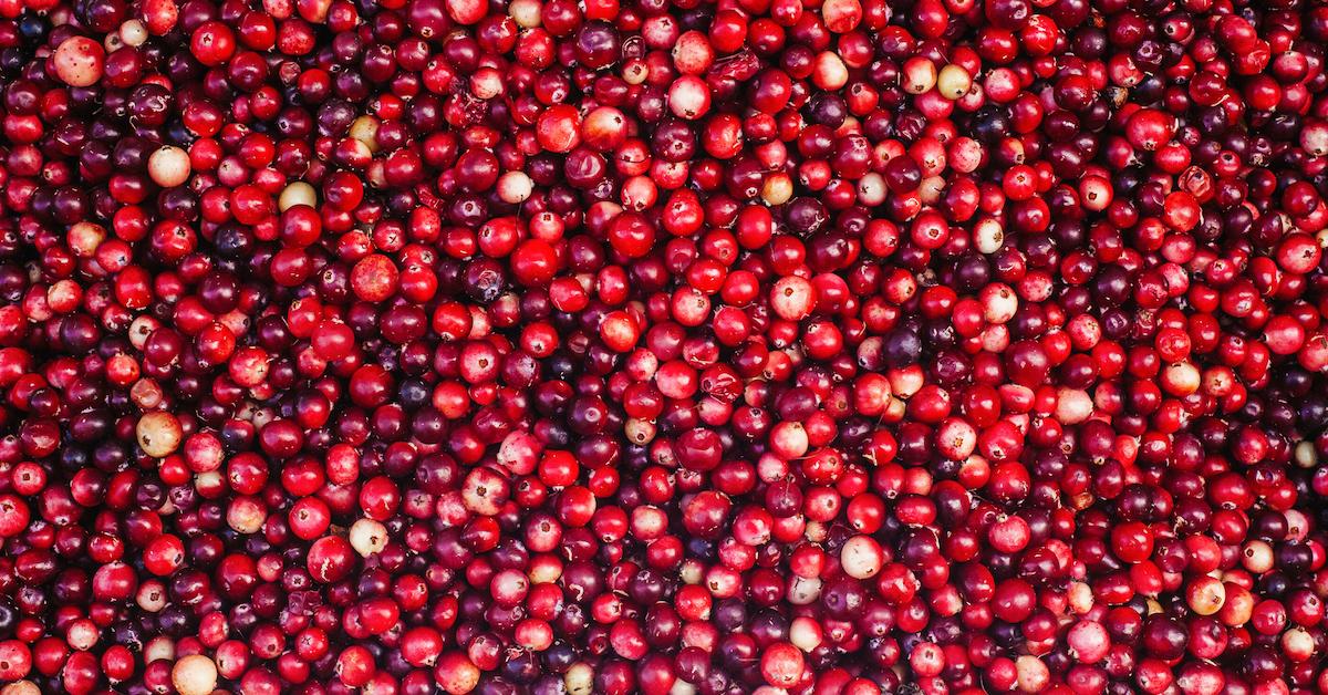 Are Cranberries Sustainable? A Deep Dive Into the Thanksgiving Favorite