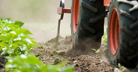 What Is Regenerative Agriculture? It May Ultimately Save Our Planet