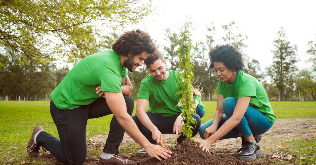 How Much Oxygen Does a Tree Produce? What You Need to Know