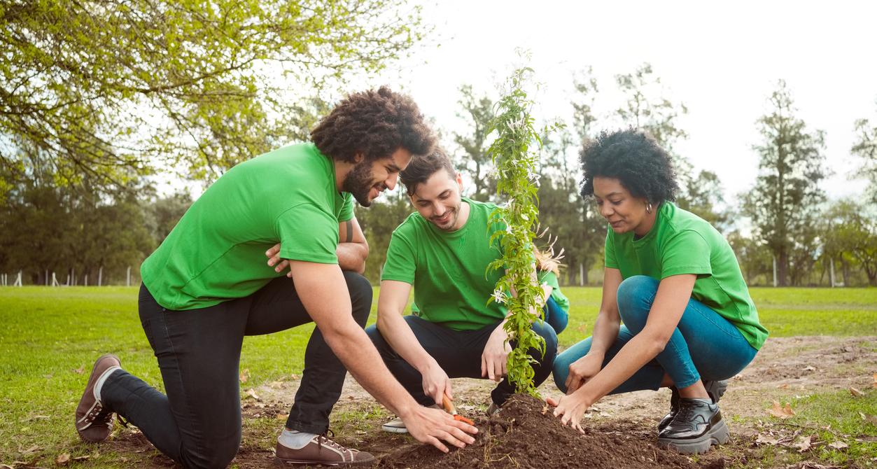 How Much Oxygen Does a Tree Produce? What You Need to Know