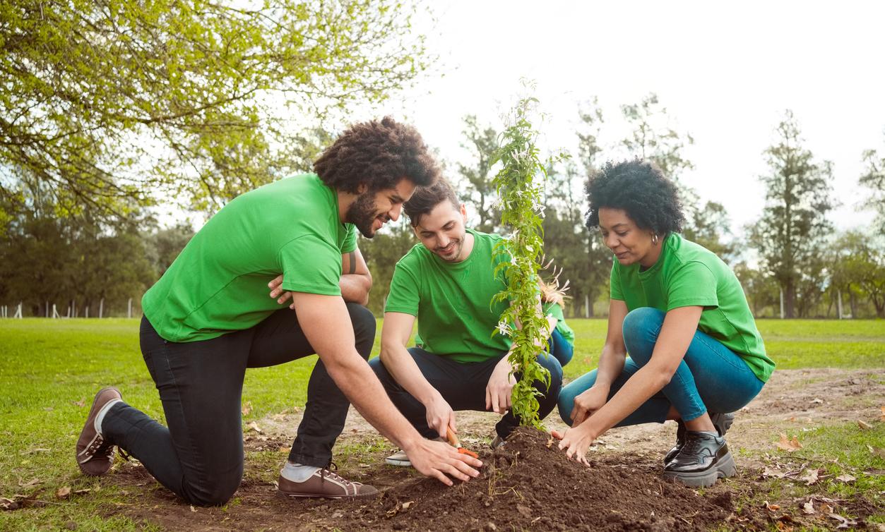 How Much Oxygen Does a Tree Produce? What You Need to Know