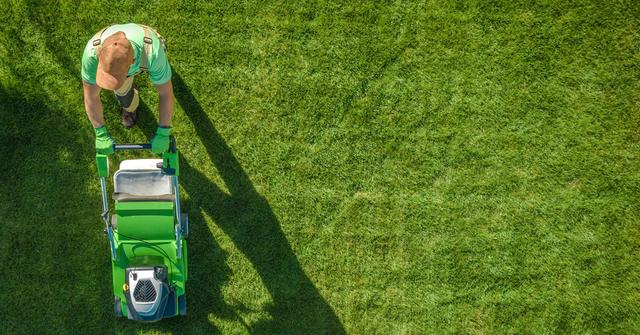The Best Drought-Tolerant Grasses for Your Lawn