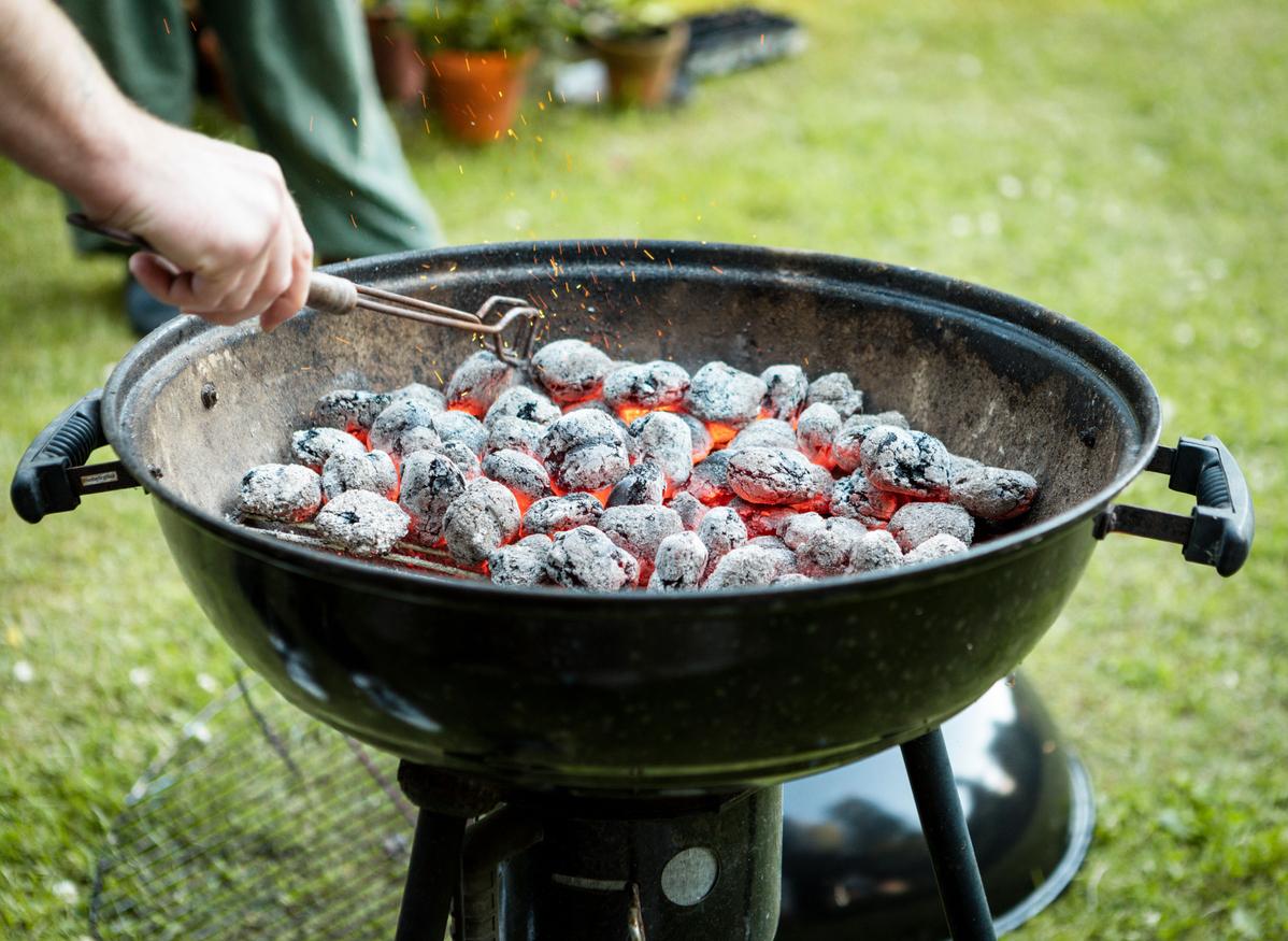 Is Charcoal Ash Good for Plants? Pros and Cons