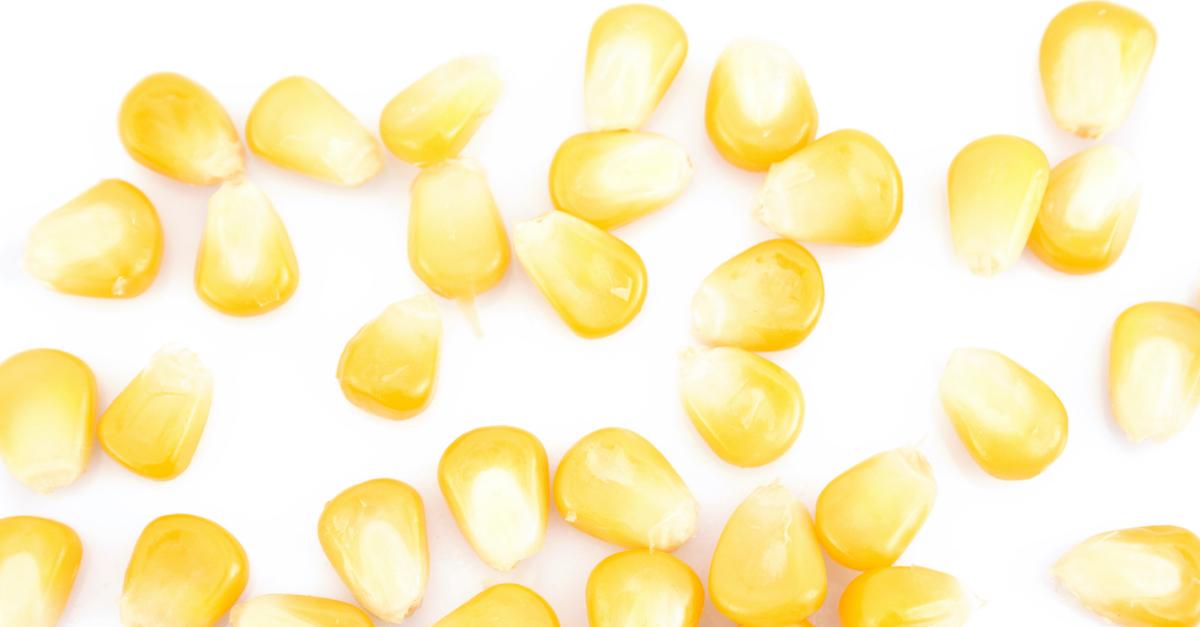 Do GMOs Have Side Effects? Here's What Experts Think