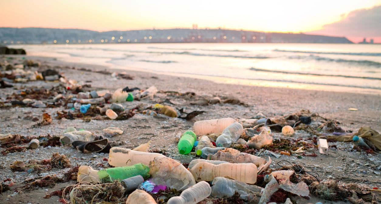 Are Humans an Invasive Species? Scholars Disagree