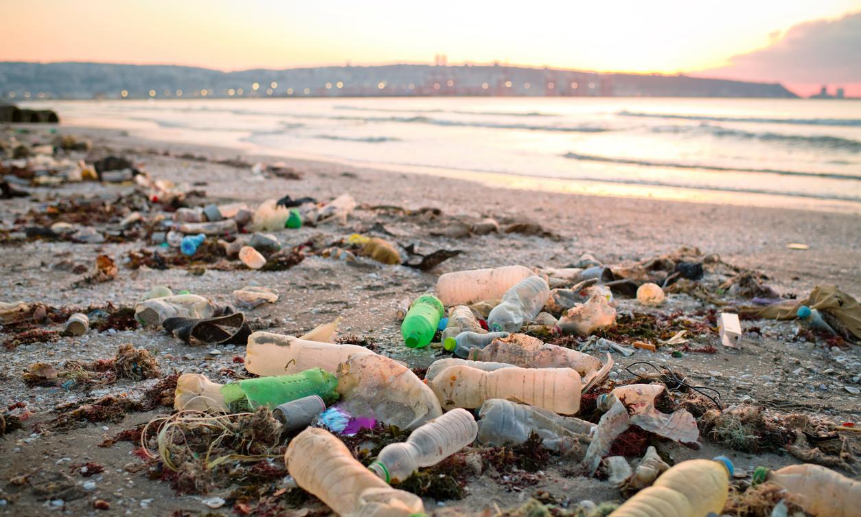 Are Humans an Invasive Species? Scholars Disagree