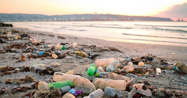 Are Humans an Invasive Species? Scholars Disagree