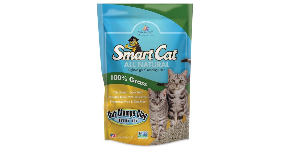 10 Best Natural and Sustainable Cat Litters