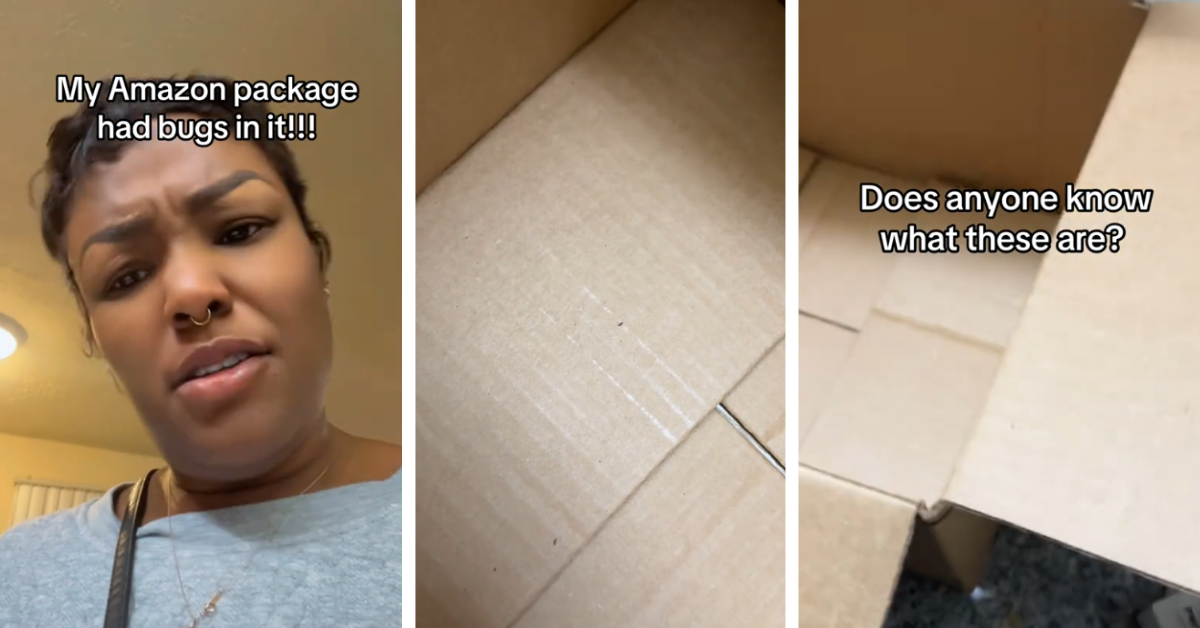 Customer Finds Bugs in Amazon Package — Details Here