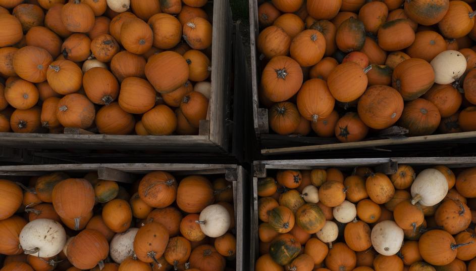 Should You Be Washing Your Pumpkins? You May Want to Consider It