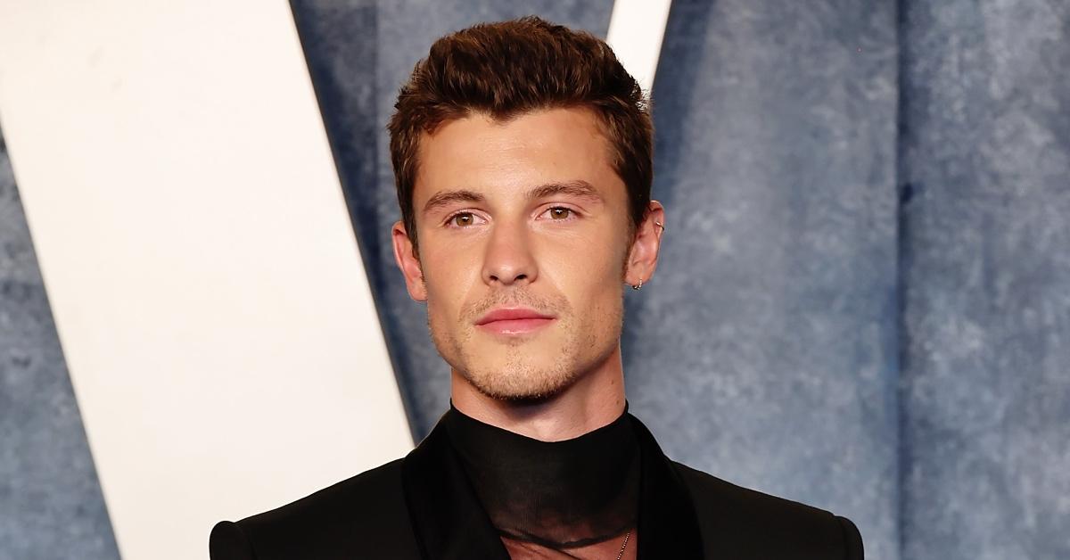 The Meaning of Shawn Mendes' Song "What the Hell Are We Dying For?"