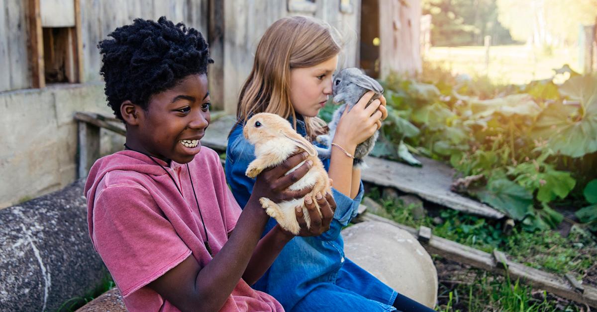 The Best Small Pets for Kids