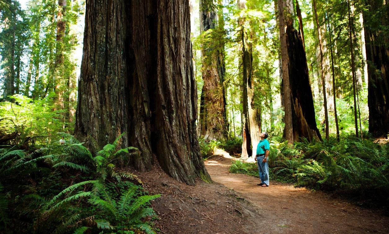 8 of the Best Earth Day Freebies 2024