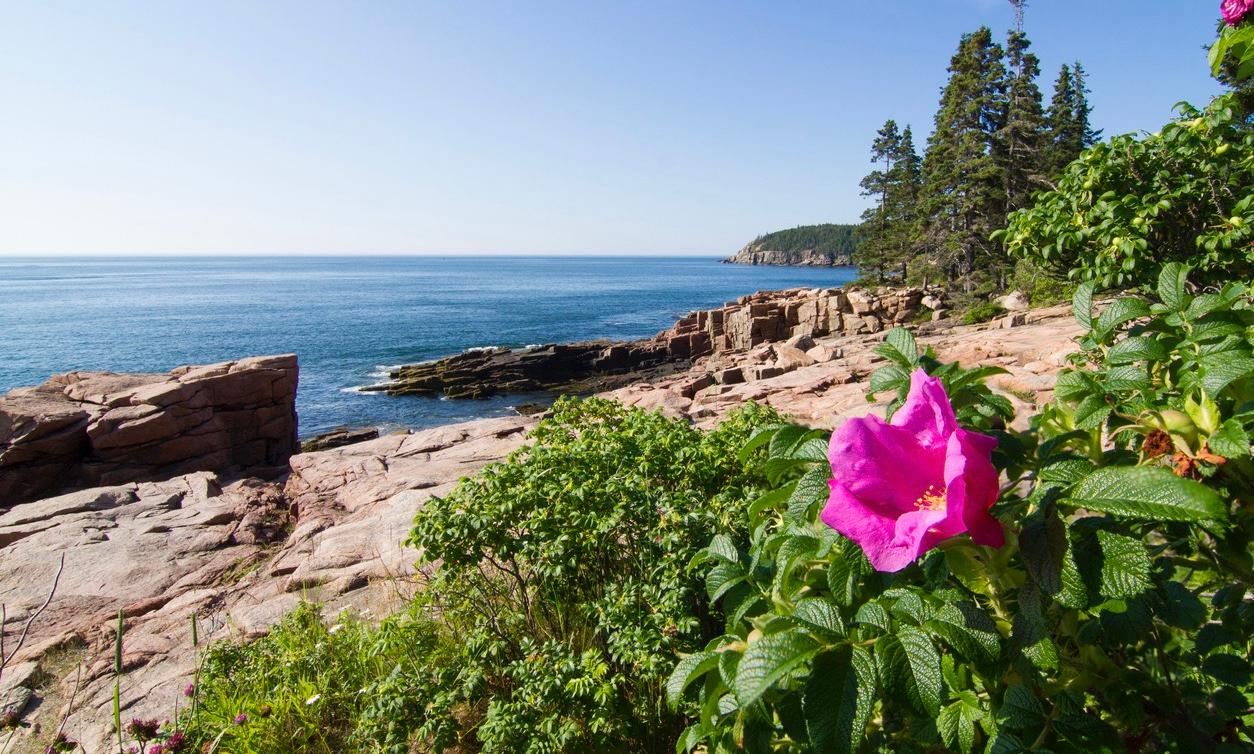 When Is the Best Time to Visit Acadia National Park?