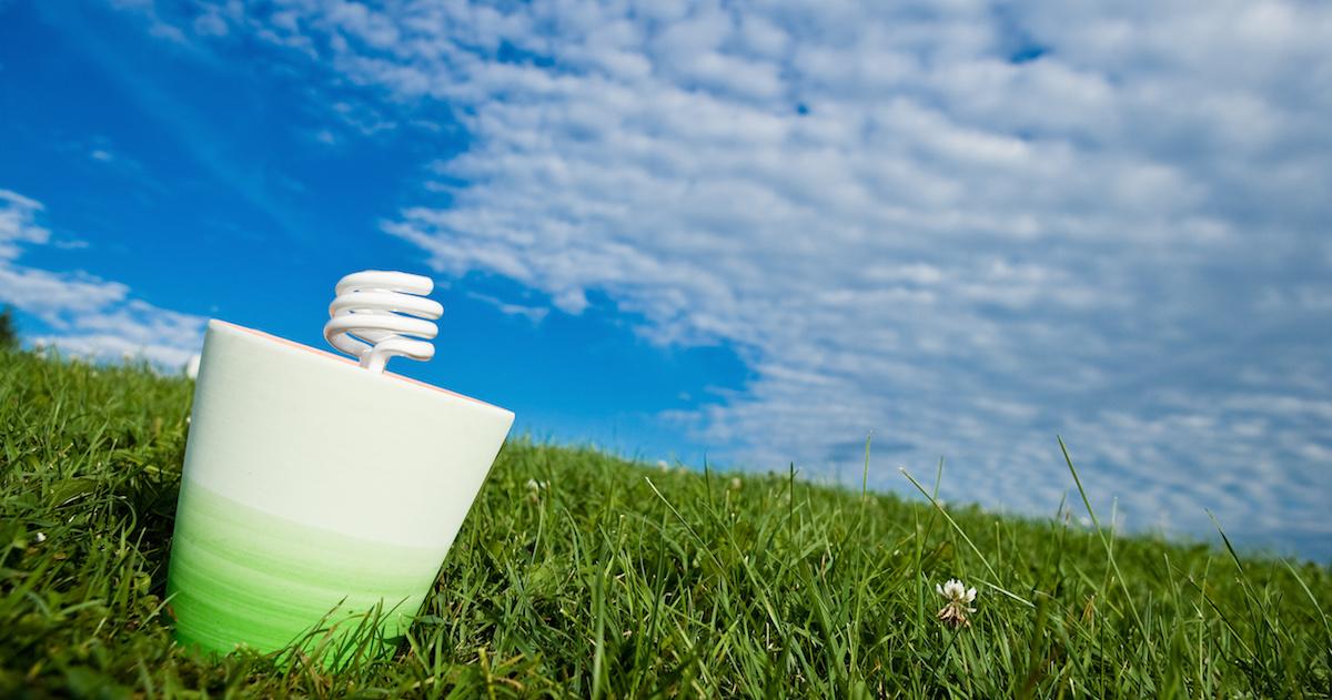 How to Dispose of Fluorescent Bulbs