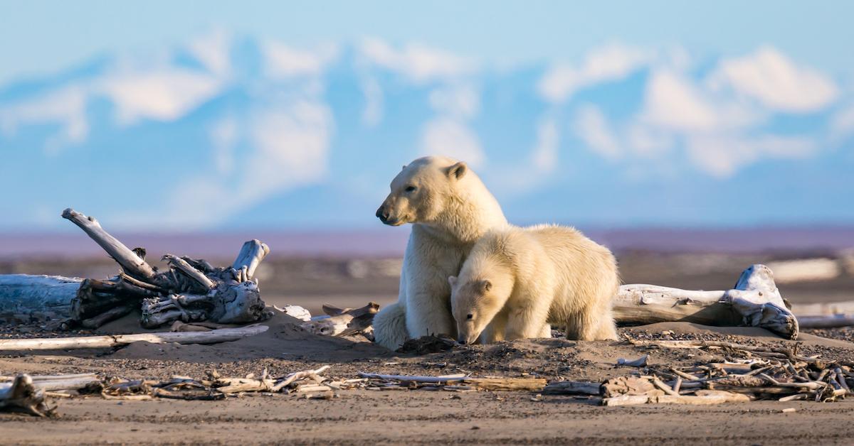 Conservation — Latest News and Updates