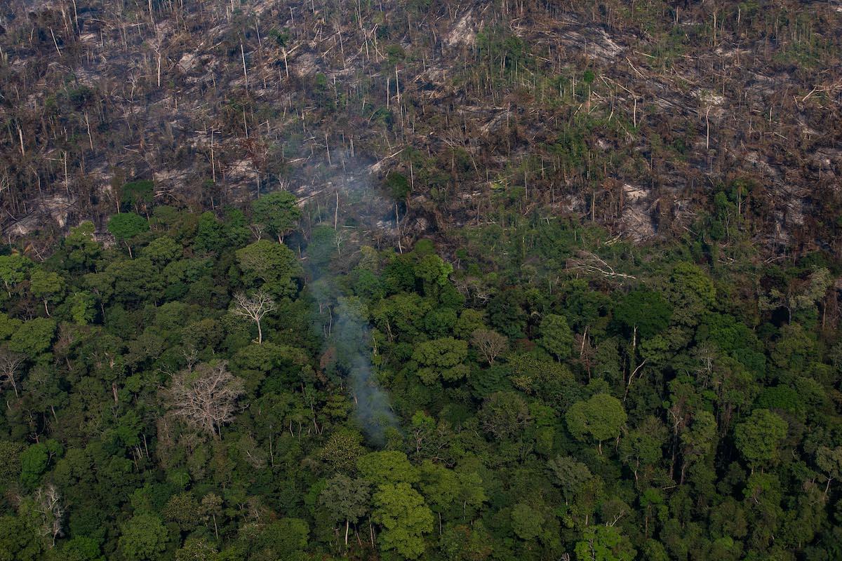 Amazon Rainforest Had 7,000 Fires in July 2020, Up 28 Percent From 2019