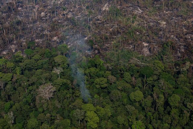 Amazon Rainforest Had 7,000 Fires in July 2020, Up 28 Percent From 2019