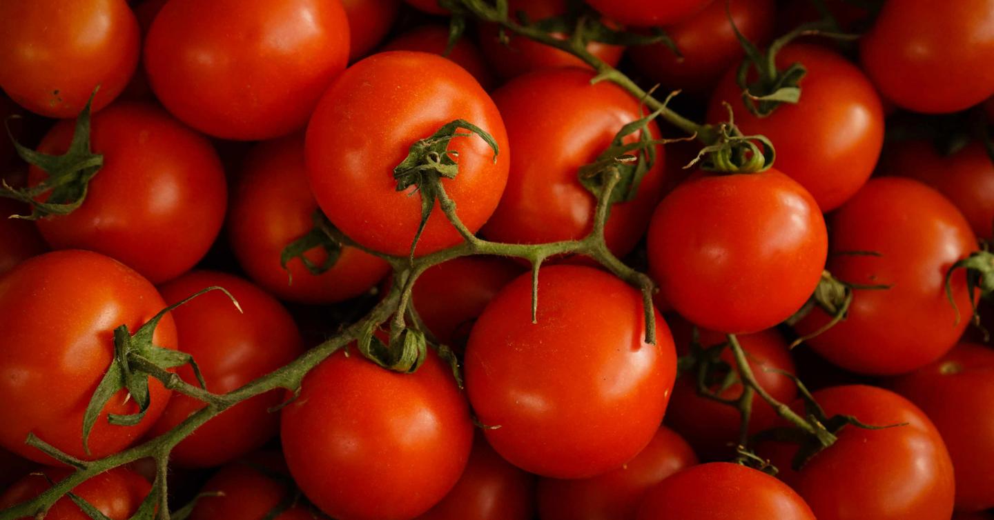 Why Are Tomato Prices Going Up?