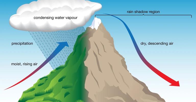What Is a Microclimate? Tiny Ecosystems Help Entire Species Thrive