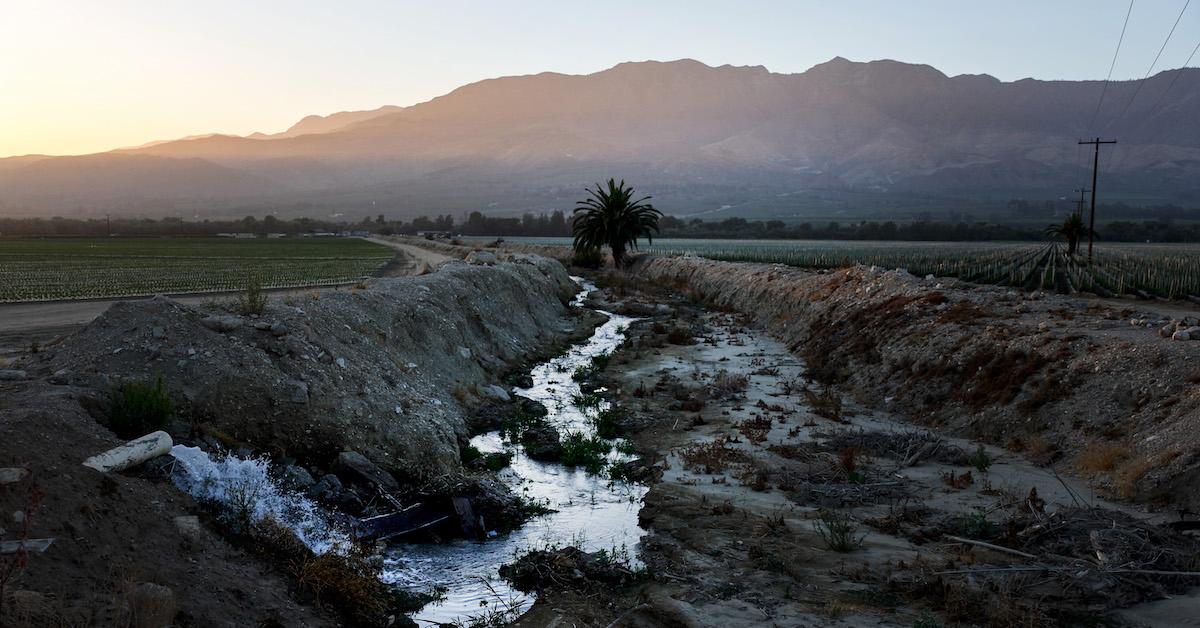 Farming Pollution Triggers Algal Blooms — And It’s a Serious Problem
