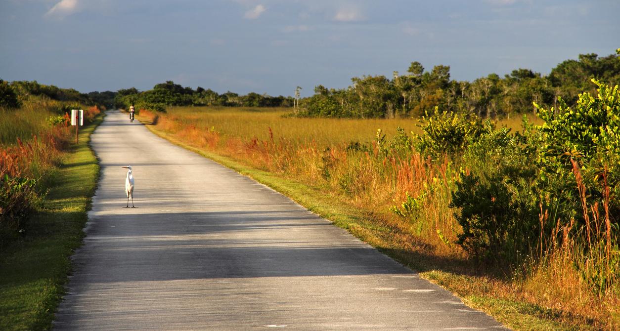 6 of the Best Florida Bike Trails