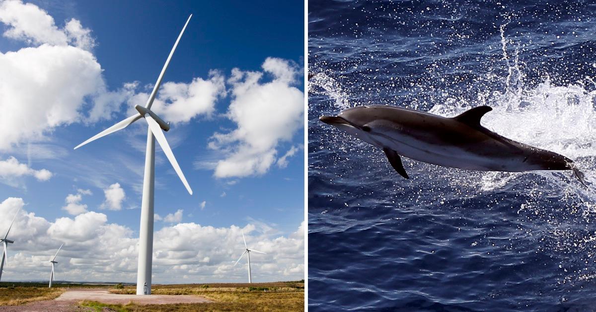 5 Positive Climate Stories to Remind You It’s Going to Be OK