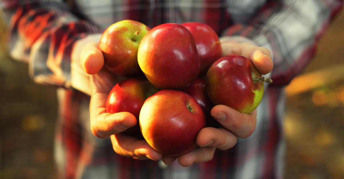 Fall Fruits and Vegetables to Enjoy This Season