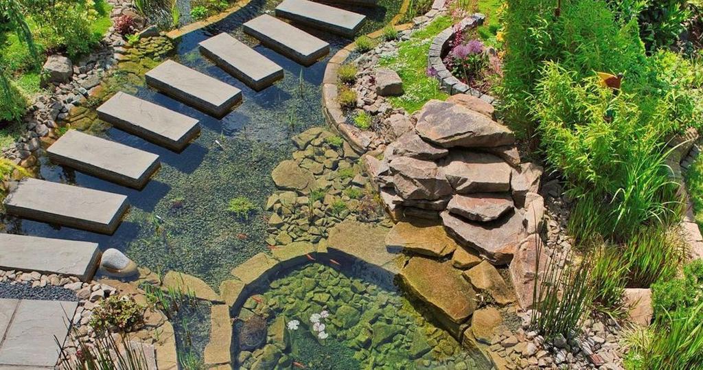 Backyard Pond Ideas: Create a Sustainable Tranquil Space